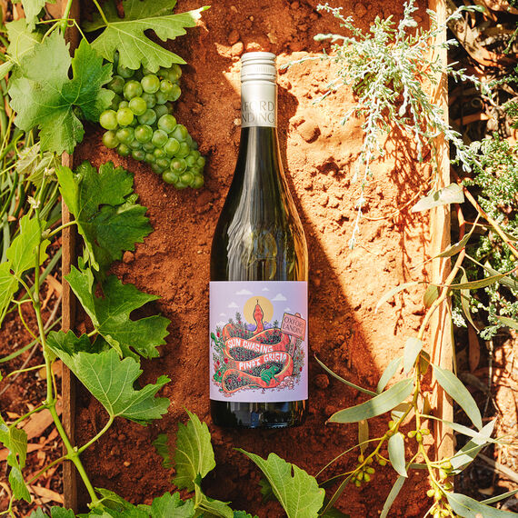 Riverlife Sunchasing Pinot Grigio 2022 | Oxford Landing ROW